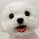 Yahoo!オークション - 【 A4 サイズ 】 【 ゆな 】白スク水 ジュニアア...