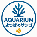 Yahoo!オークション - タコアシサンゴ ピンクカラーでボリューム満点 ...